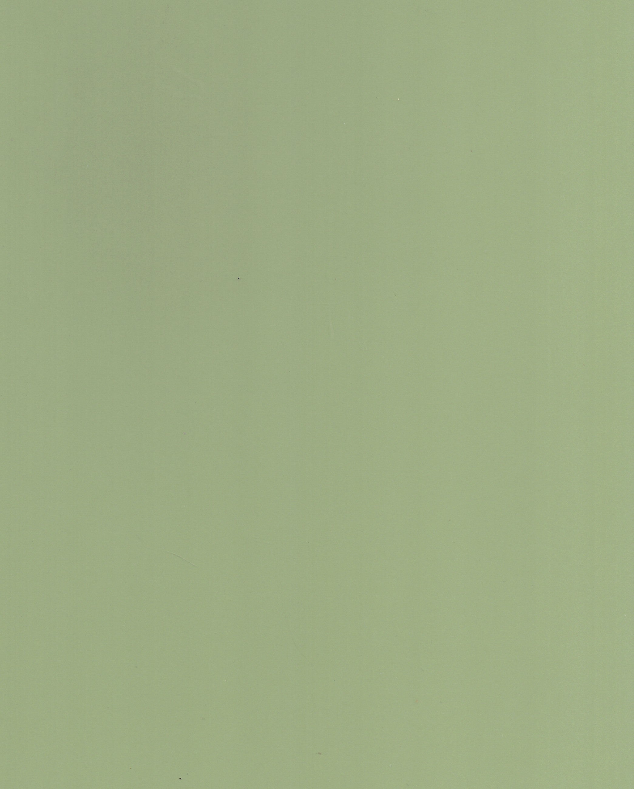 1066 SF PALE GREEN – Premium Standard Laminates, 1mm Thickness – Amulya ...