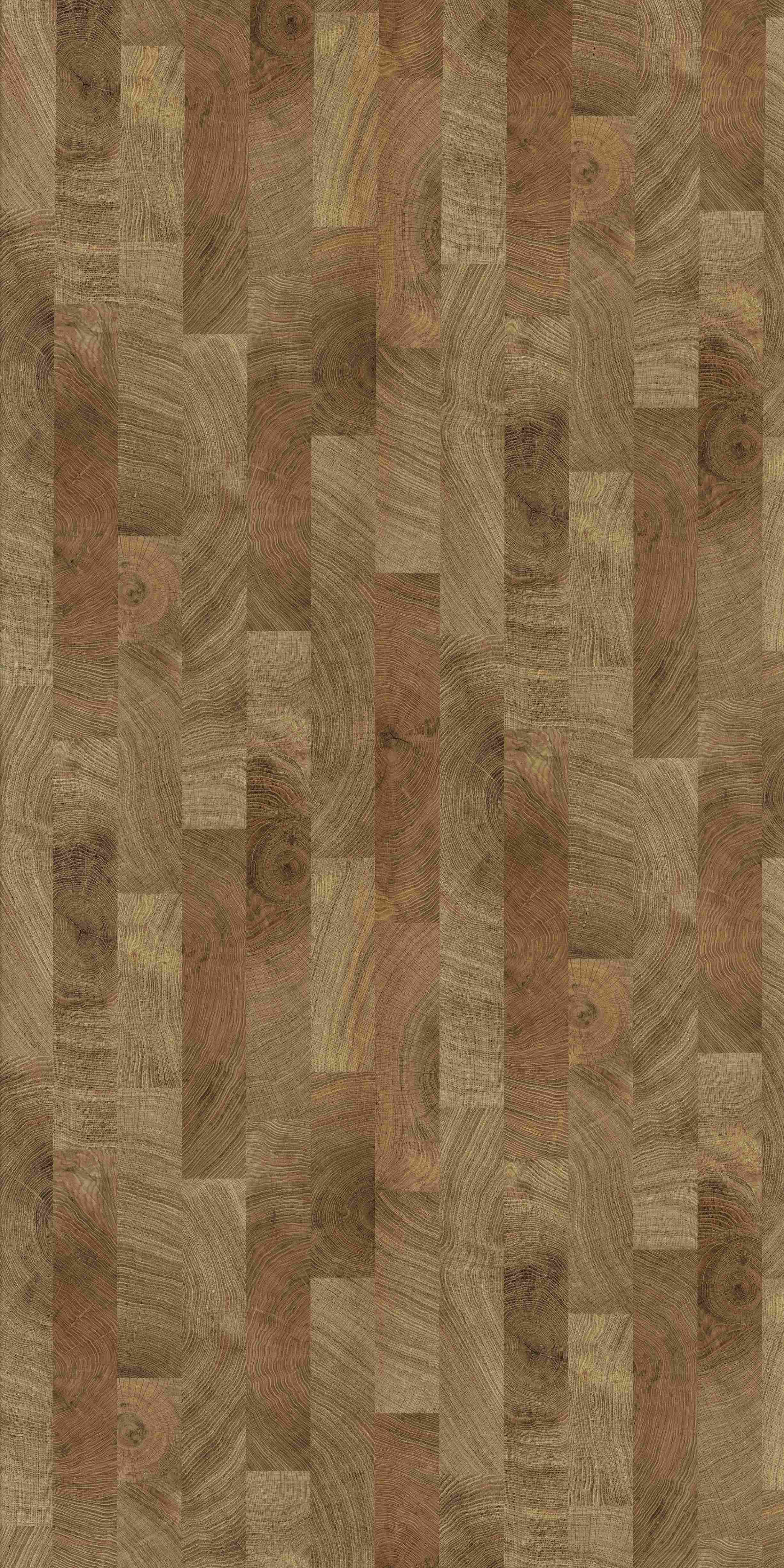 EXE 130 SF Oak Trunk Wood Laminate – Premium Cladding – Amulya Mica