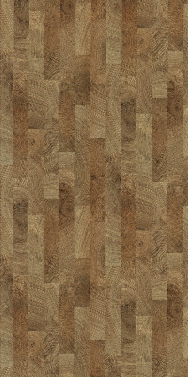 E130 WL Oak Trunk Wood | Premium 1.25mm Synchronised Laminate Sheet ...
