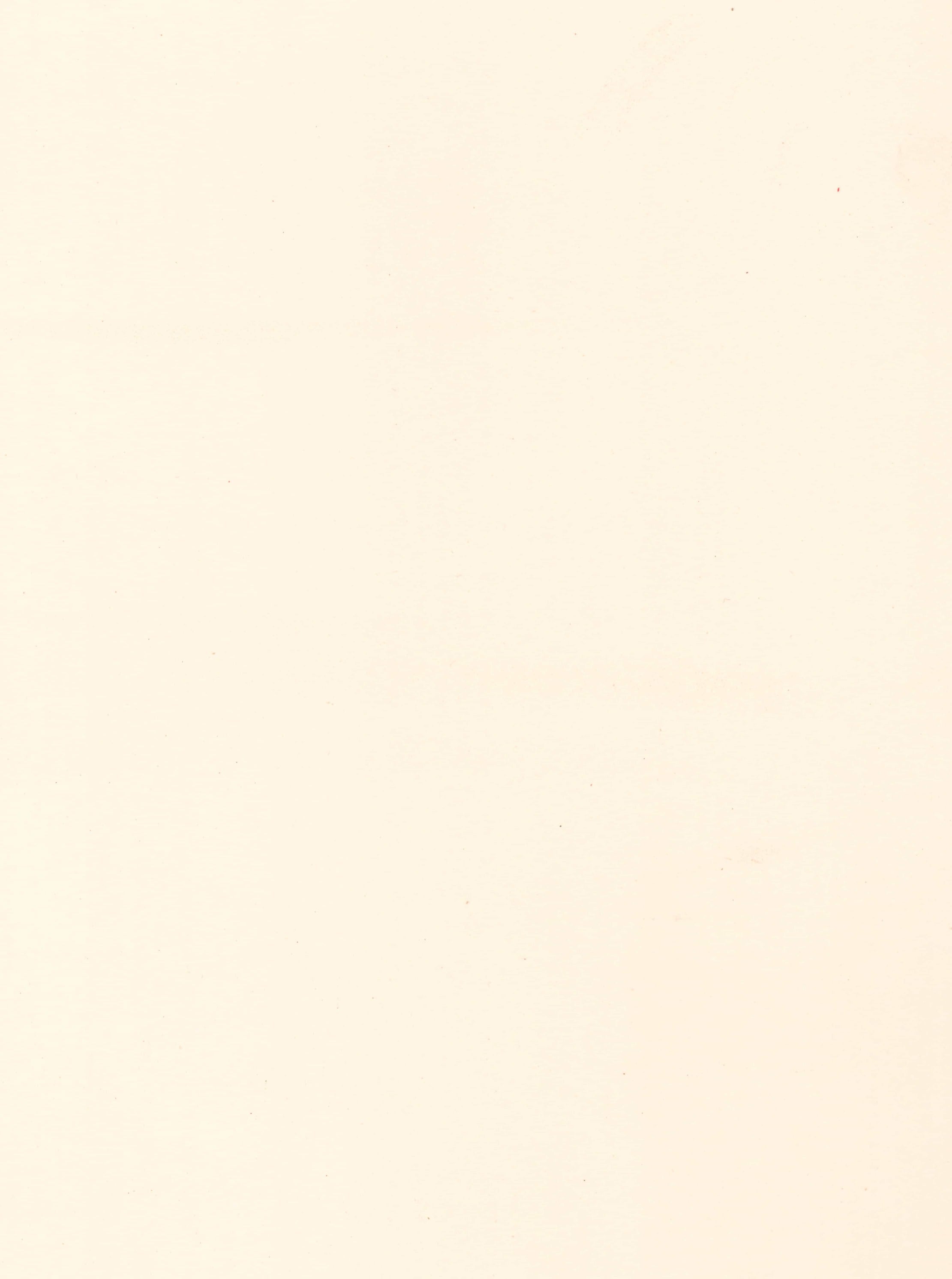 115000 AS ALMOND IVORY – Amulya Mica