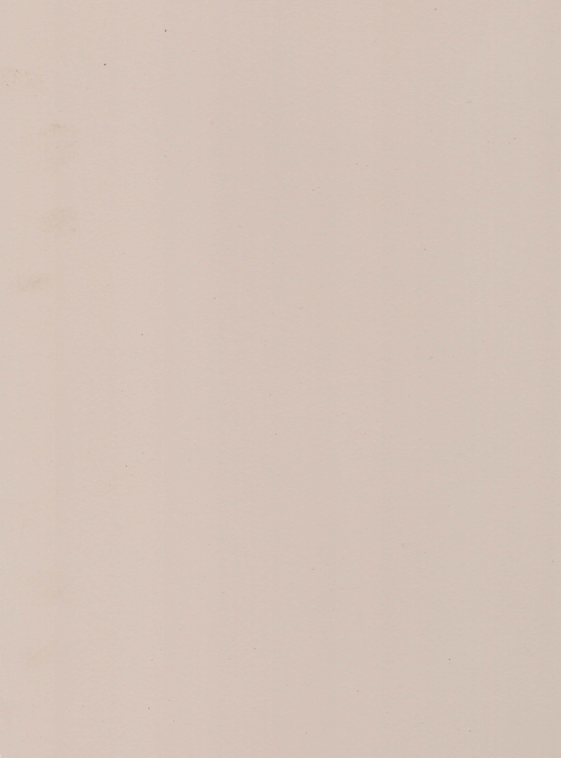 221070-AS British Buff | Scratch Proof Sunmica & PVC Laminate – Amulya Mica